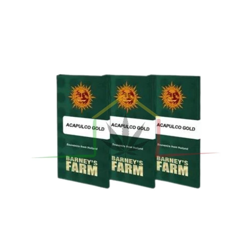 Acapulco Gold - Semillas feminizadas de Barney's Farm - Themariashop