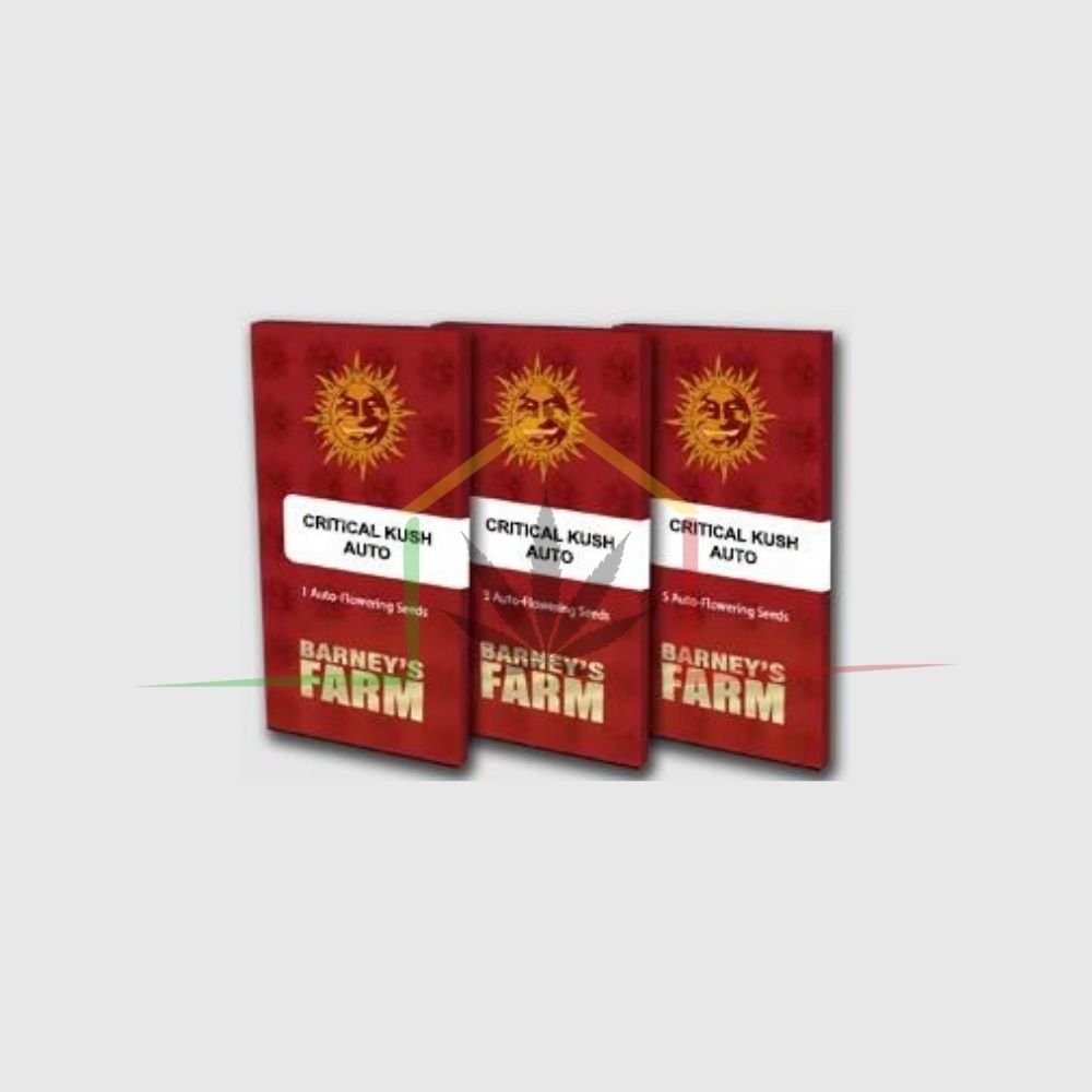 Critical Kush Auto - semillas autoflorecientes - Barney's farm