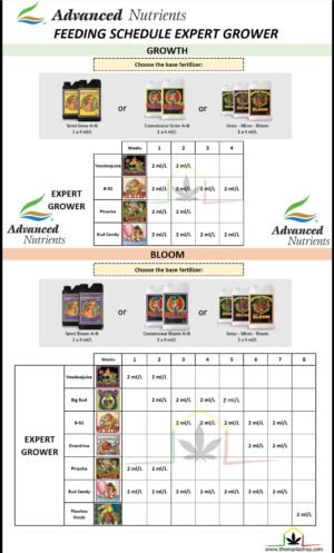 Feeding Schedule Advanced Nutrients (Complete Guide)