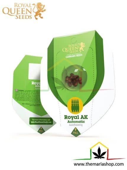 Royal Ak Auto - Autoflowering cannabis seeds - Royal Queen Seeds